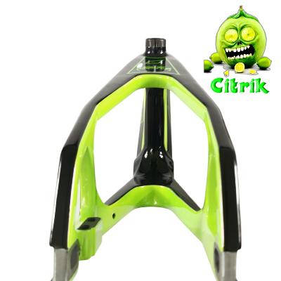 ICE RAPTOR FRAME CITRIK – Frontocean BMX Distribution